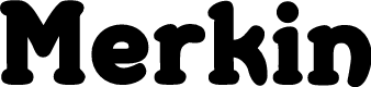 Merkin Font Family (4 styles) by Apostrophic Lab